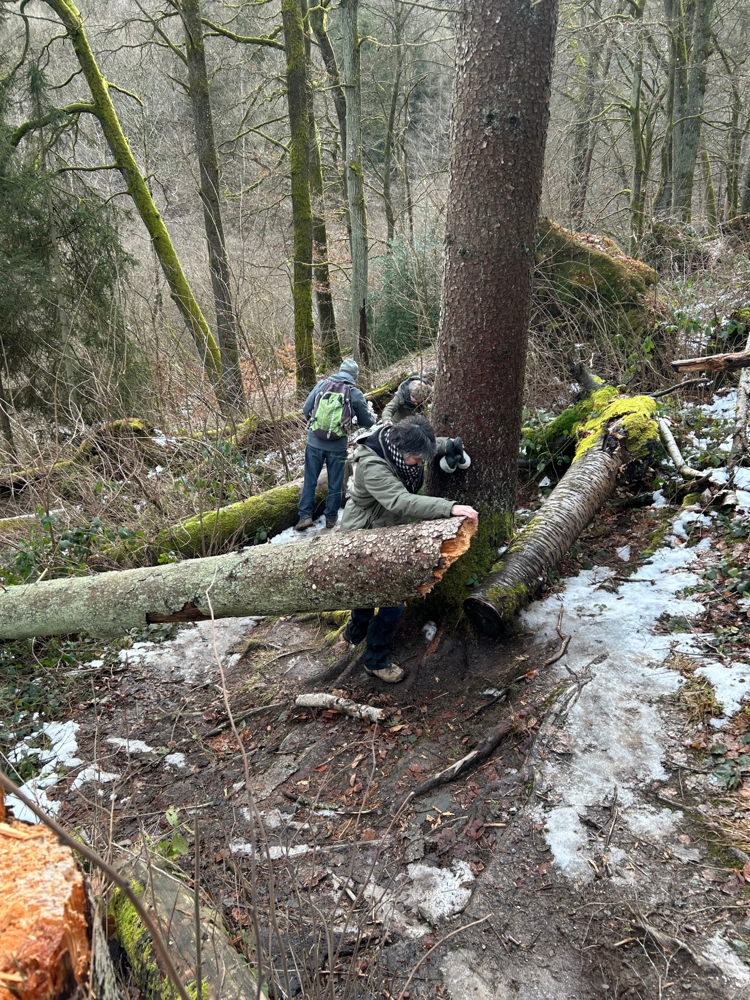 Vogelsang | Peter Dejaegher